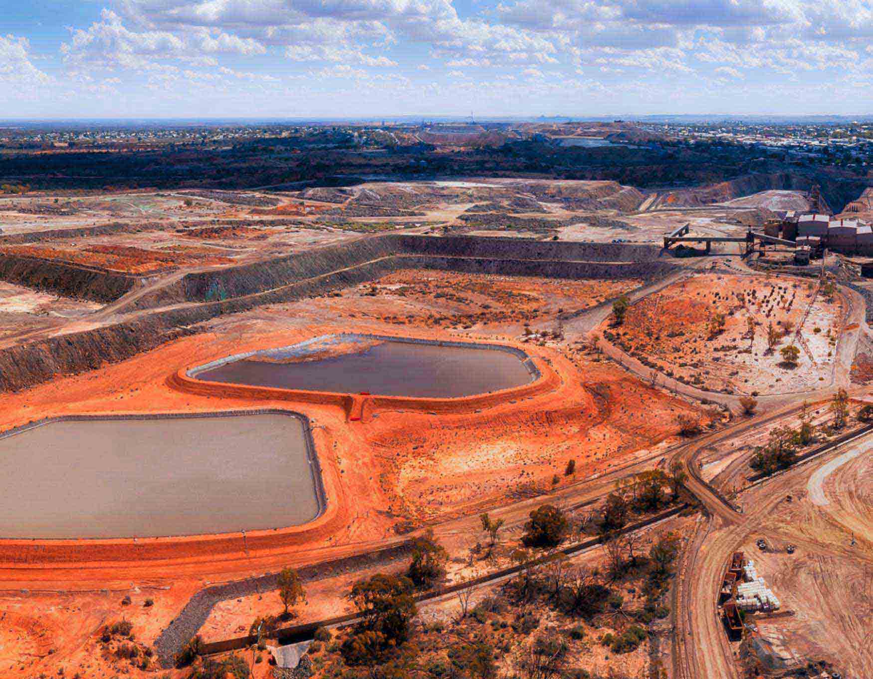 Liontown the pride leader - Superhero